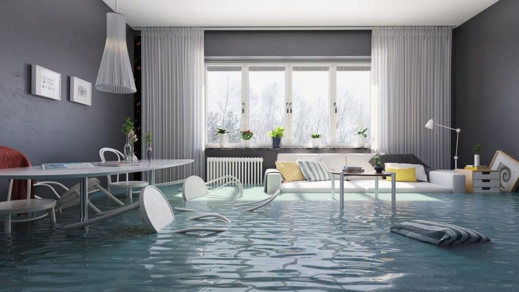 The Most Common Causes of Indoor Water Damage and How to Prevent It ...